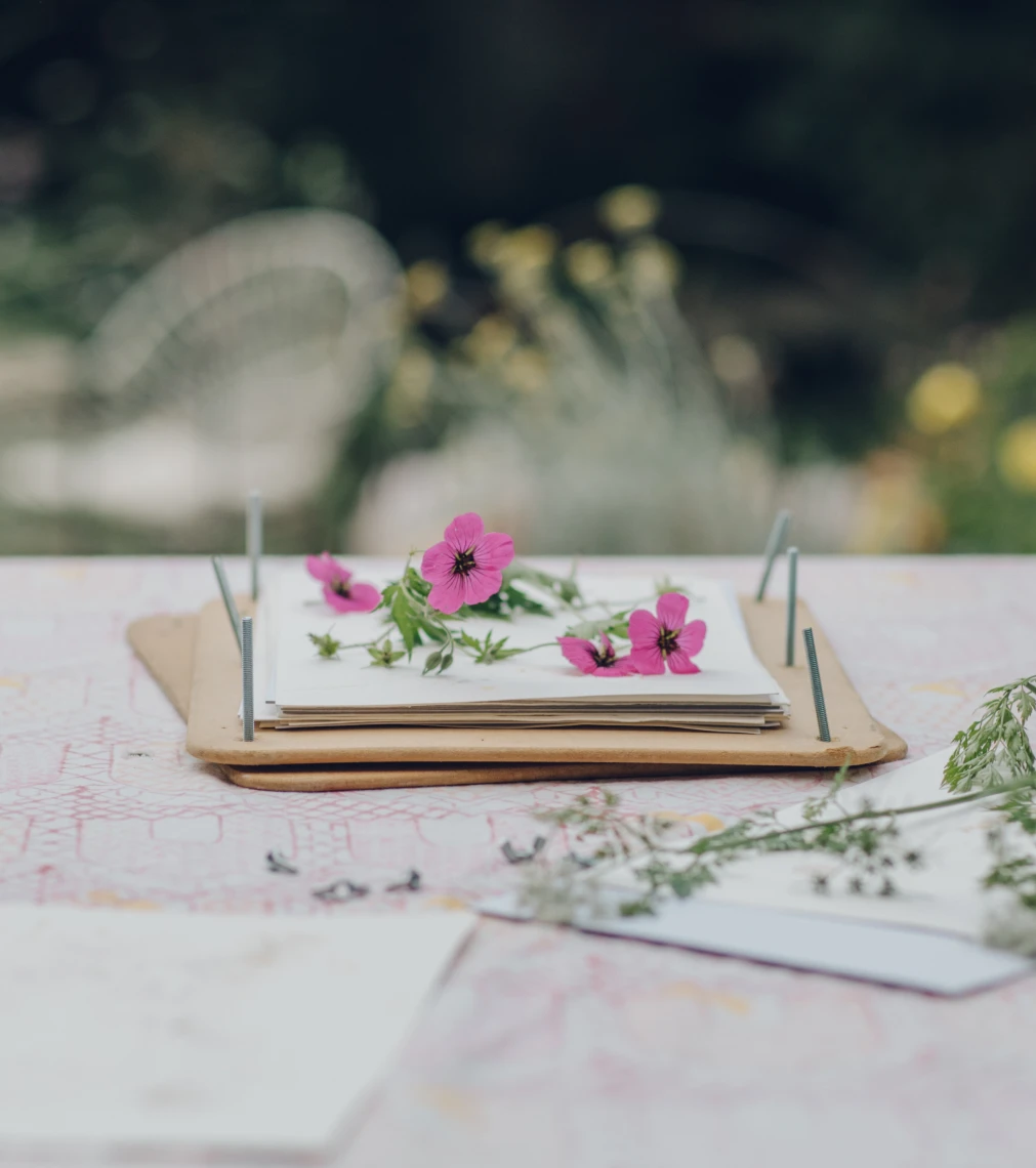 Create Academy | Learn Creative Skills Online