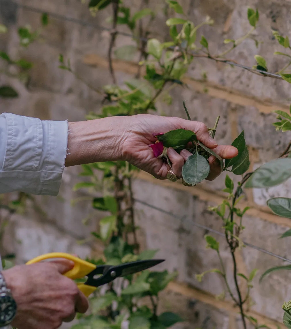 Create Academy | Learn Creative Skills Online