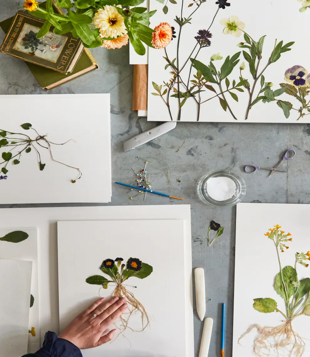 Create Academy | Learn Creative Skills Online