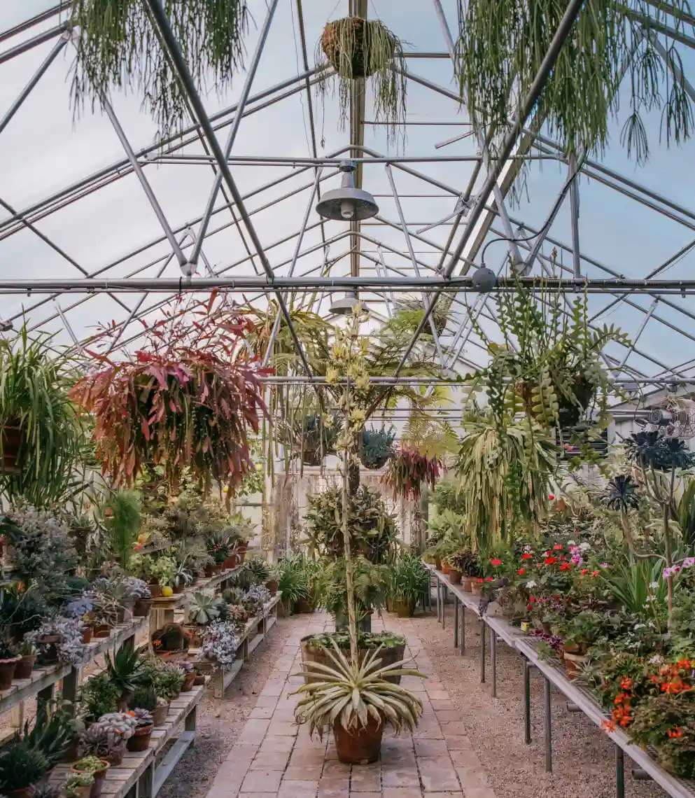 Create Academy | Learn Creative Skills Online