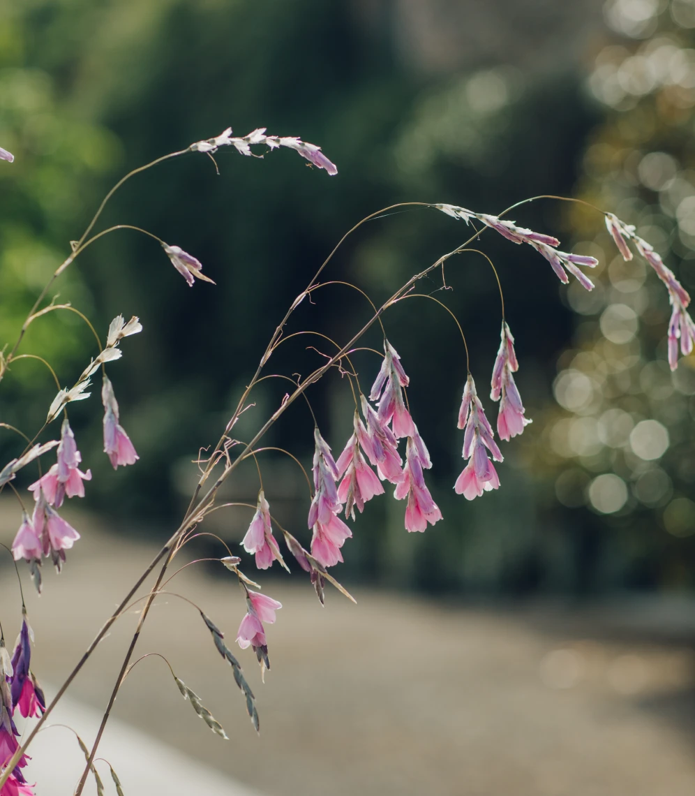 Create Academy | Learn Creative Skills Online