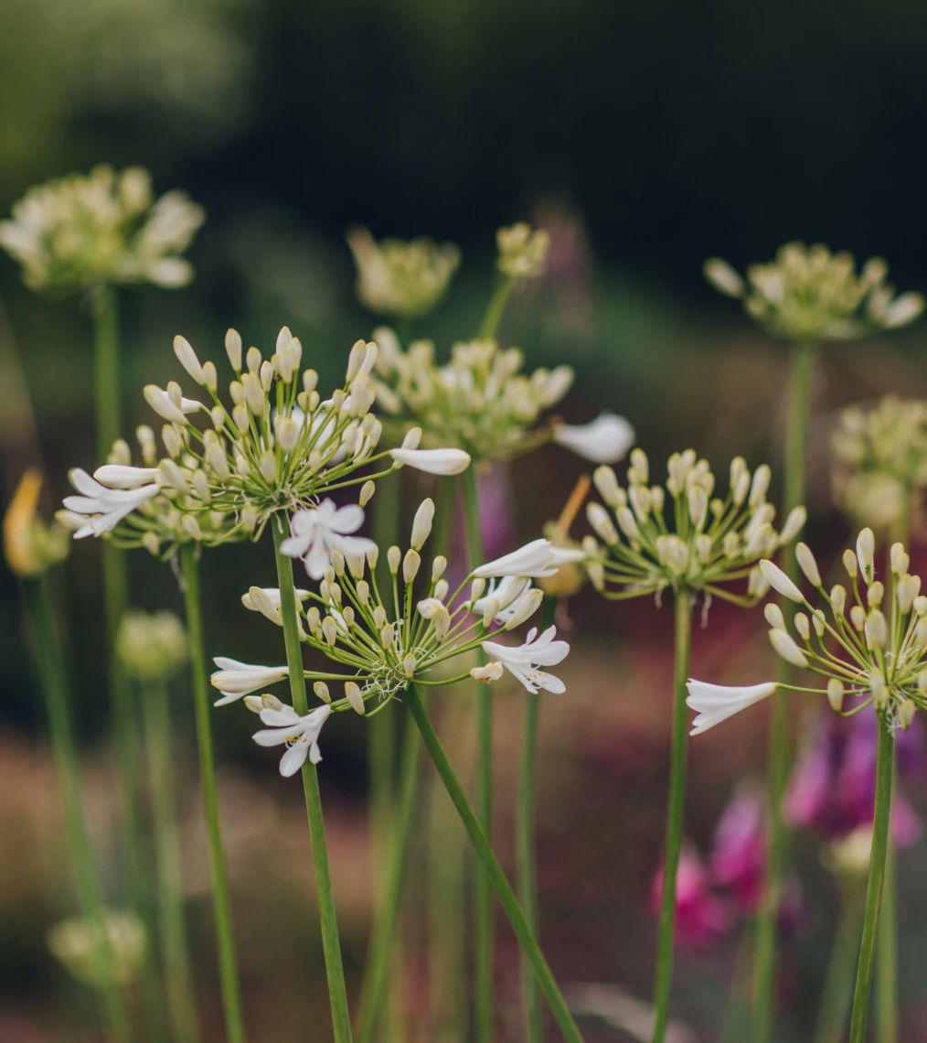 Create Academy | Learn Creative Skills Online